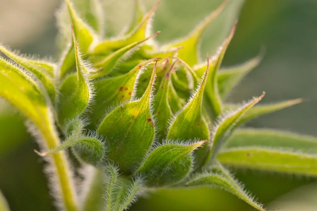 Achieving Better Color Precision With Advanced Calibration