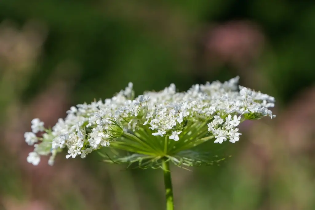 Fine-Tuning Color Accuracy With Advanced Tools