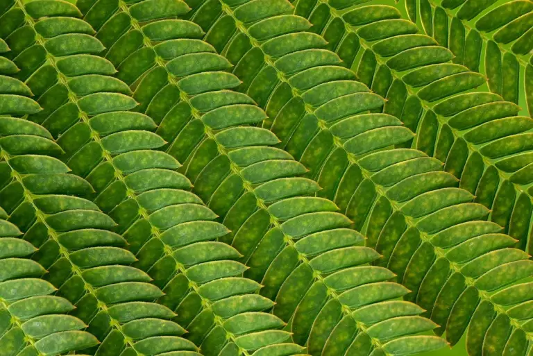 How To Calibrate Your Monitor For Better Color Accuracy In Gaming