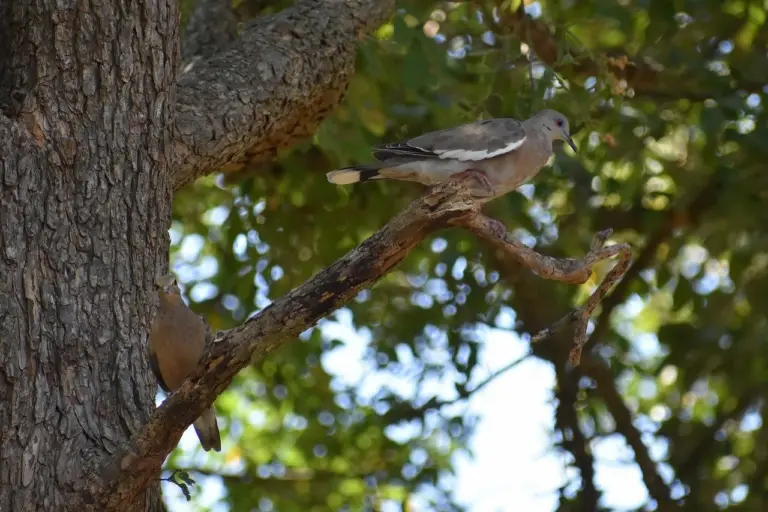 Enhance Your Display: Portrait Displays' C6 Hdr2000 Colorimeter And ...